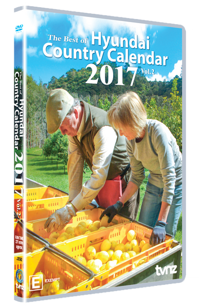 The Best of Country Calendar 2017 v.2 – Jigsaw Entertainment